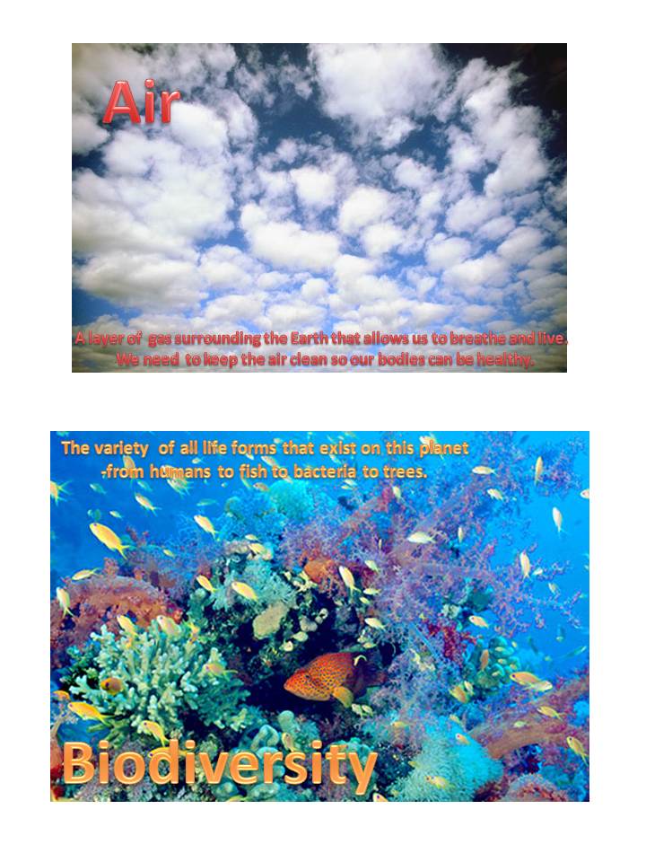 BYU Environmental Experience: Allison Cobabe - Environmental Alphabet Book