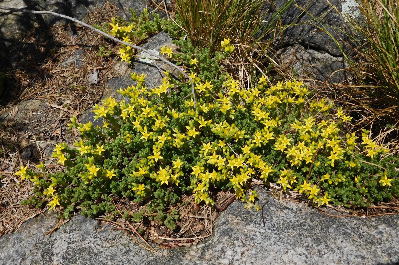 Georgian Bay - Wreck Island - NEW TOURISM OBJECTIVES