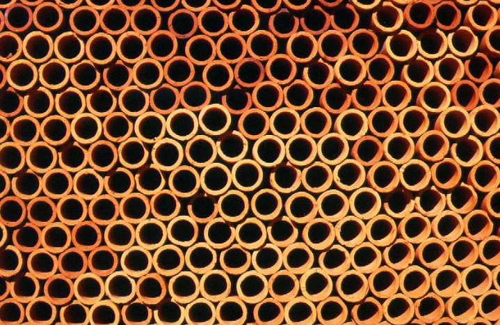 Mega Photography : 2015