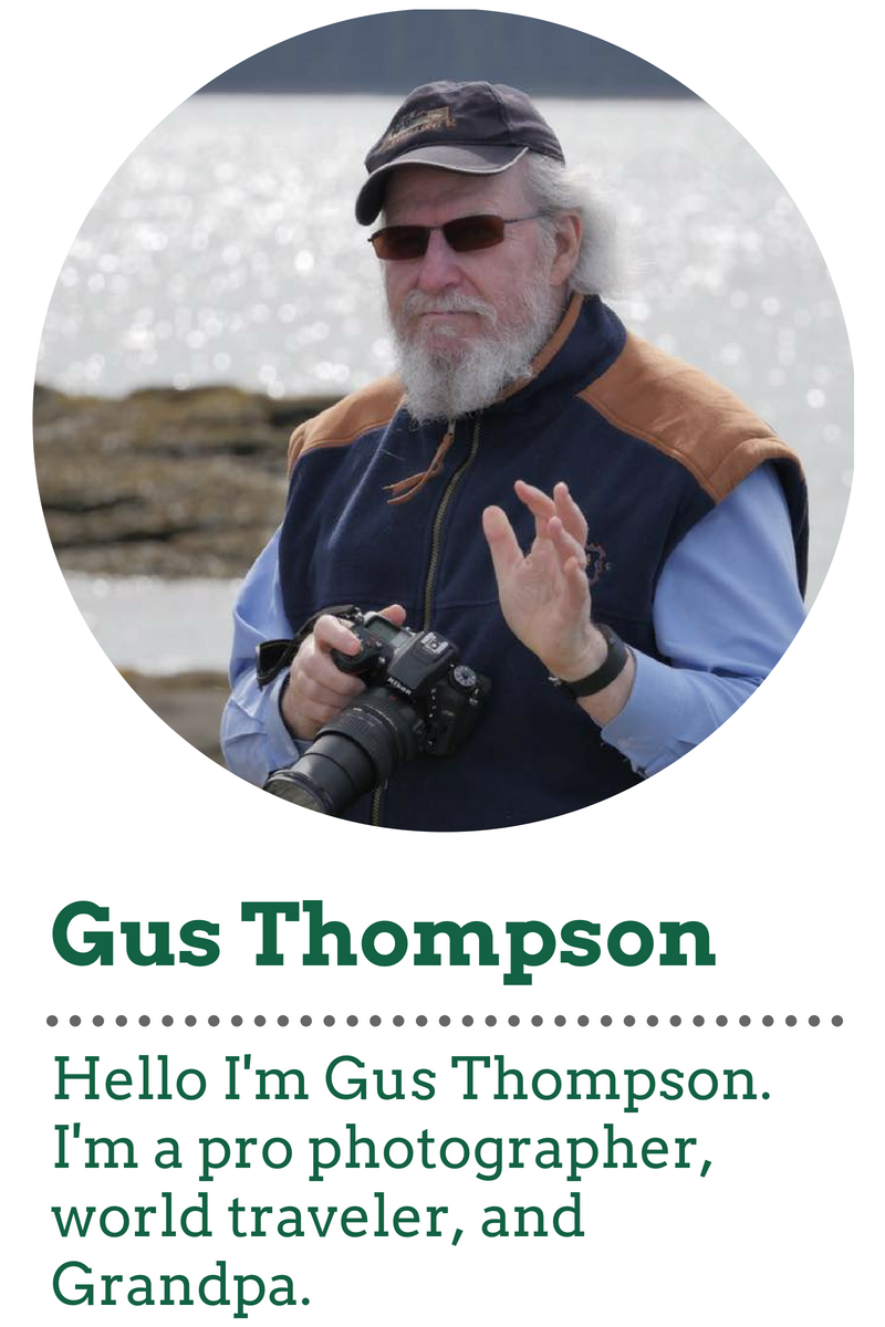 Gus Thompson: Scenery