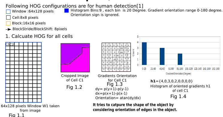 Infographics Of Histogram Of Oriented Gradients Descriptorfeatures