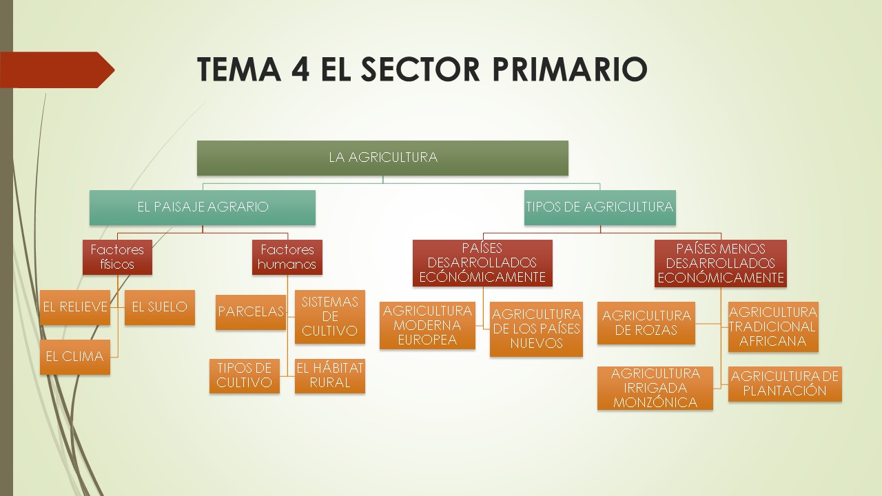 Geografía e Historia 3º ESO: El sector primario