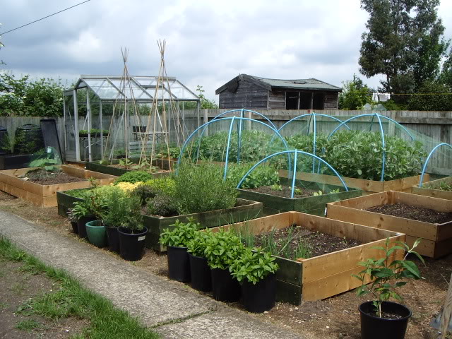 slowly surely: geometric garden