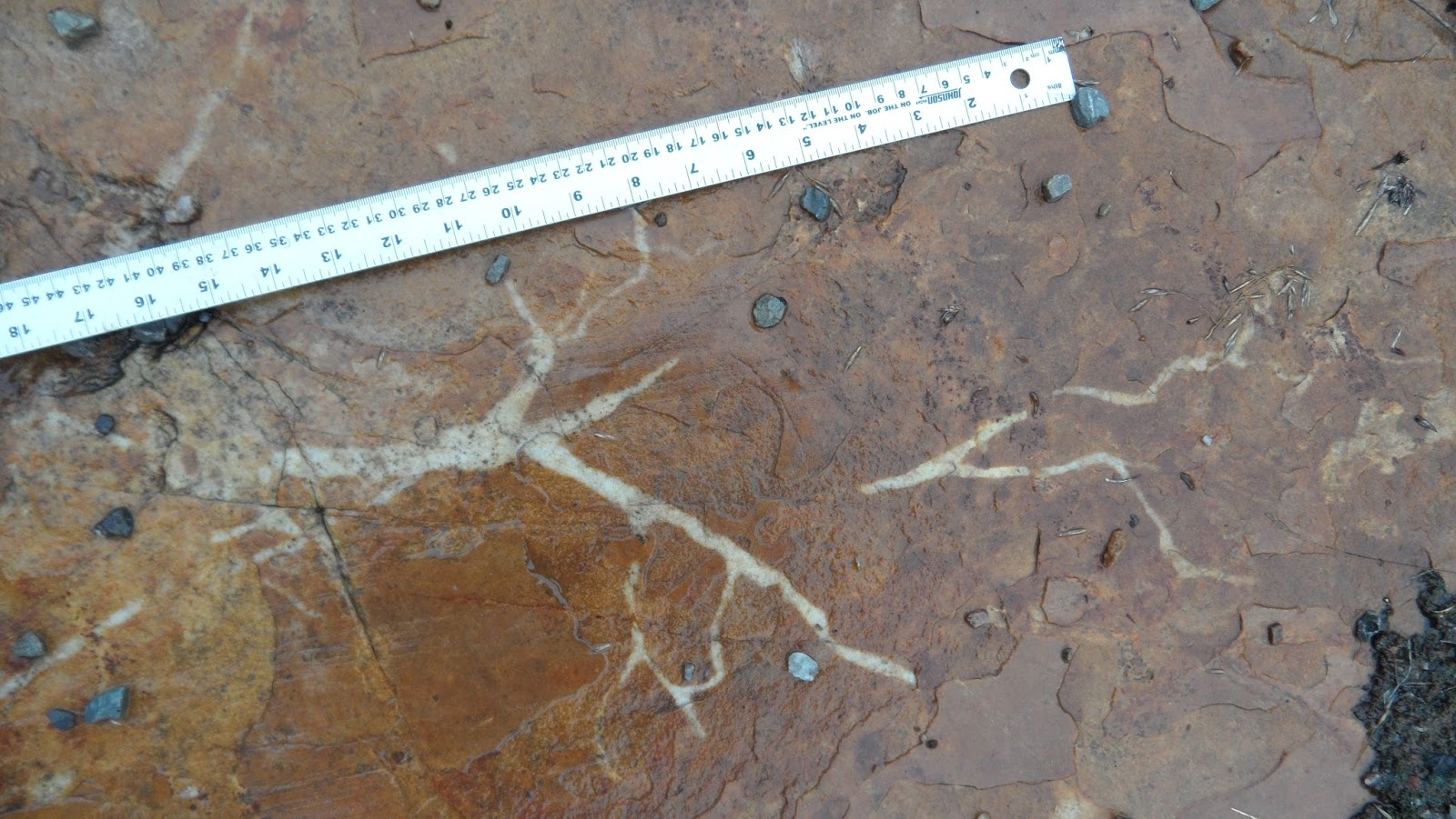 Fossils and Geology of Lanark County, Ontario: Dewatering Structures ...