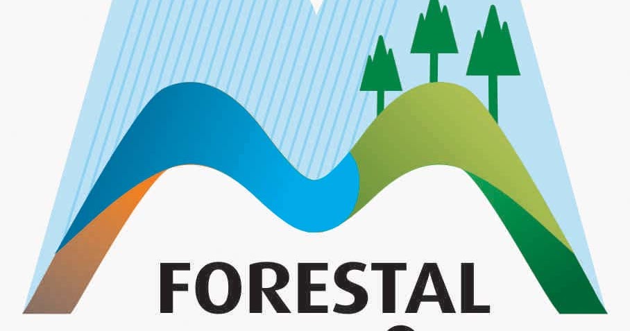 LOGO SÍMBOLO MAPISO EMPRESA FORESTAL