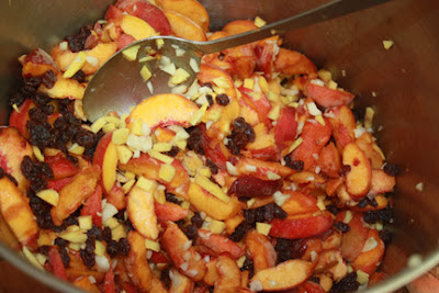 Lots of Life in One Place: Peach Tree in Permaculture and Peach Chutney ...