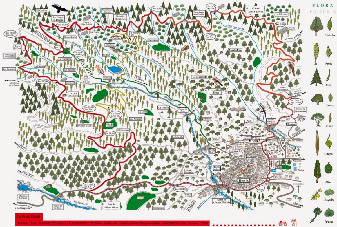 TU CASA RURAL EN EL VALLE DEL AMBROZ: ACTIVIDADES QUE SE PUEDEN ...