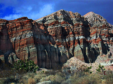 California State Dinosaur