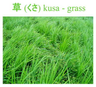 ☆~アーニャの日本語教室~☆: Природа (Nature)