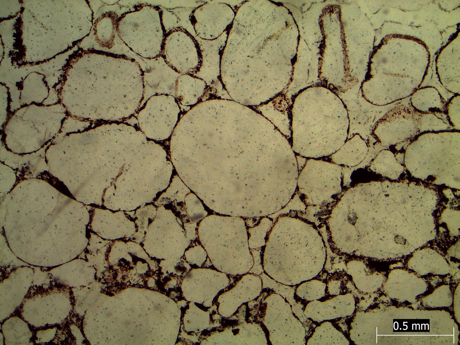 Geology 1403 Physical Geology Siliciclastic Sedimentary Rocks