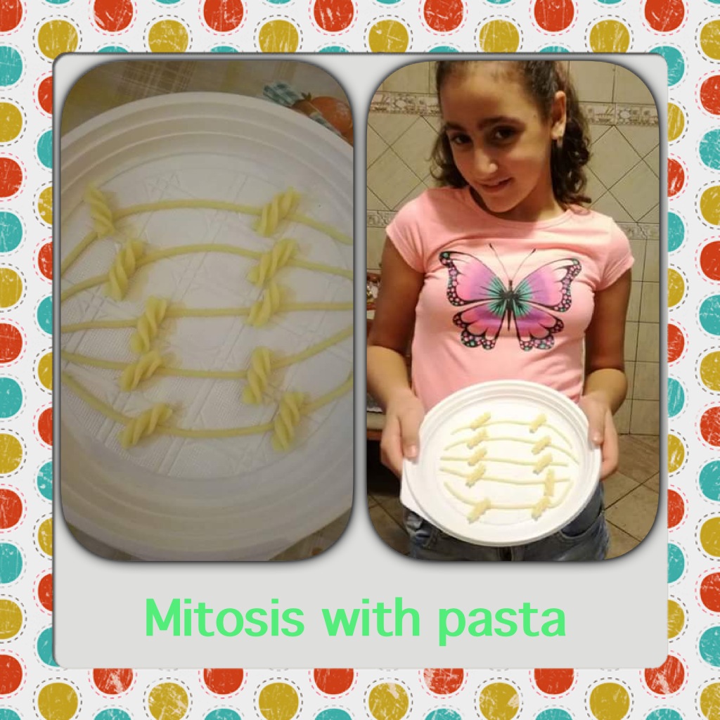 Makassed KSPS: Modeling Mitosis