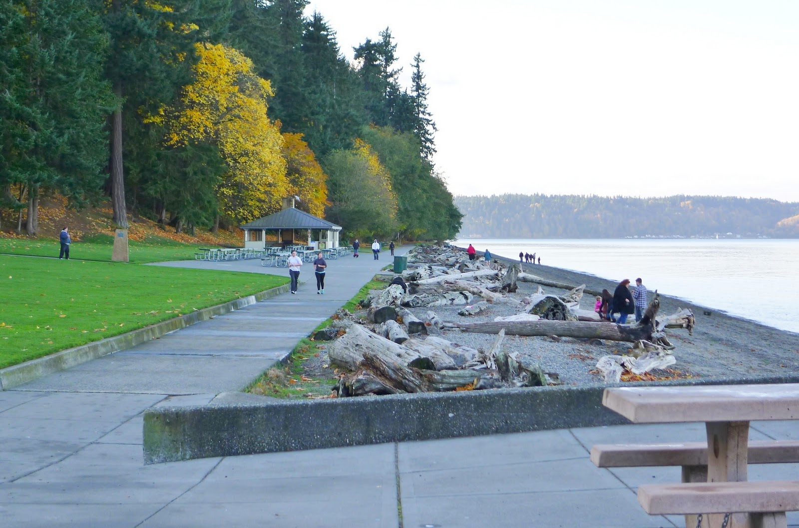 Good Life Northwest: November Photo Tour of Point Defiance Park