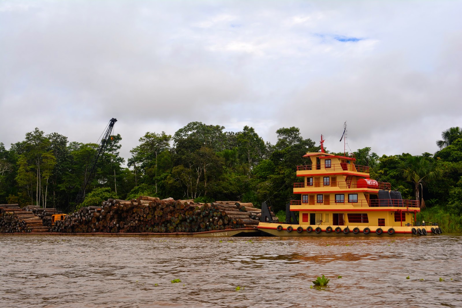 The Thrill on Berryhill: Amazonas Day 4: Into the Amazon Swamp We Go