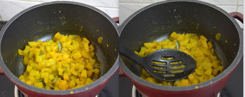 Mathanga Pachadi-Kerala Style Pumpkin Pachadi Recipe - growing our bean