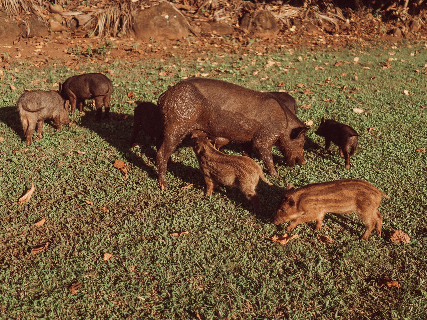 #travelwithmelina hawaii: fun things to do on oahu | Melina Dulce