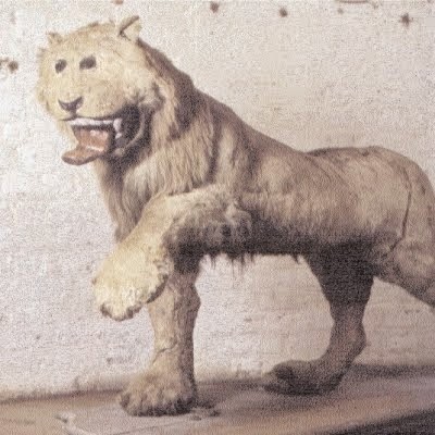 Bad Lions: The Return of a Favorite