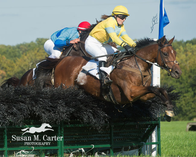 Virginia Blog Cup: Pictures of The Day