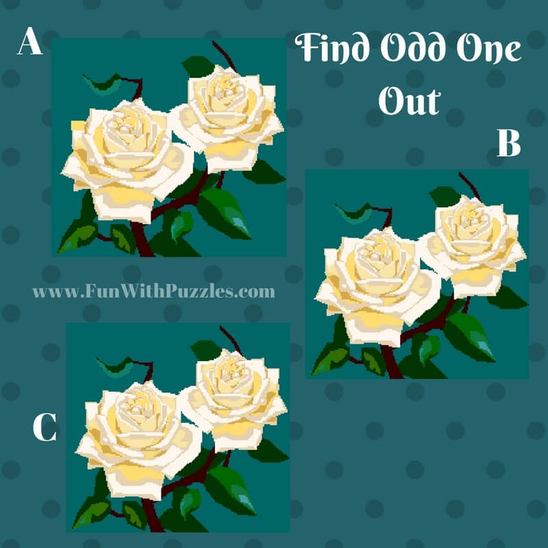Tricky Image Puzzles to Find Odd One Out with Answers