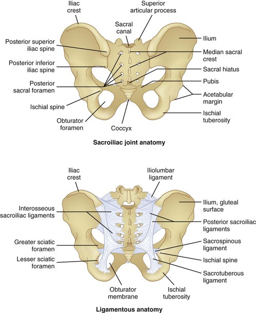 Reason Sacroiliac Joint Pain ~ akufisio.blogspot