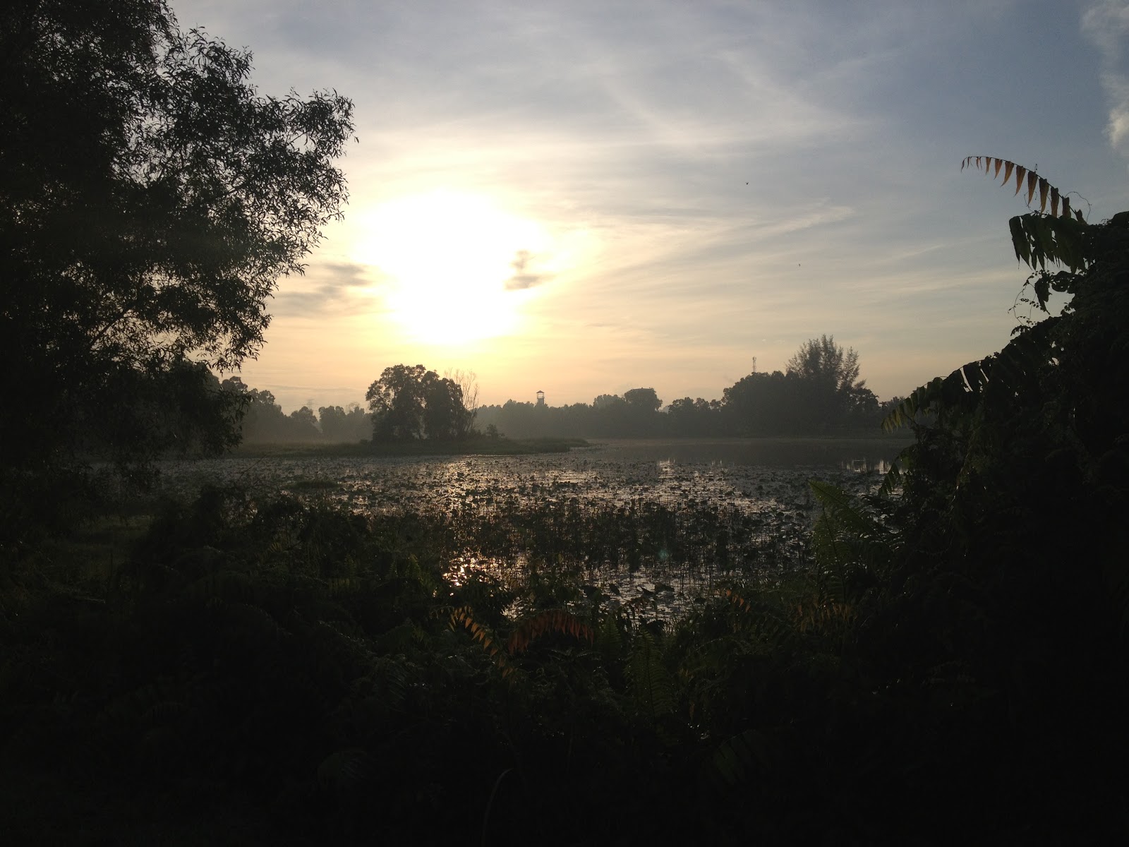 {cerita budak jawe}: Percutian di Paya Indah Wetland, Dengkil