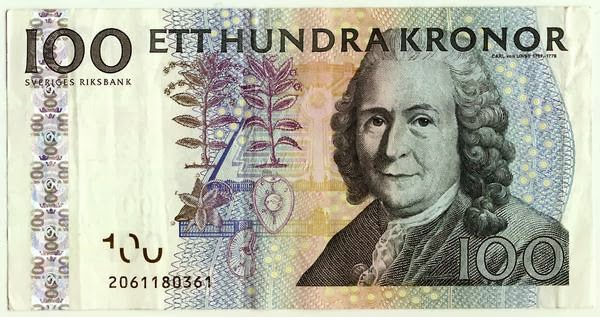 SFI grupp 3 Forshaga: Pawlar