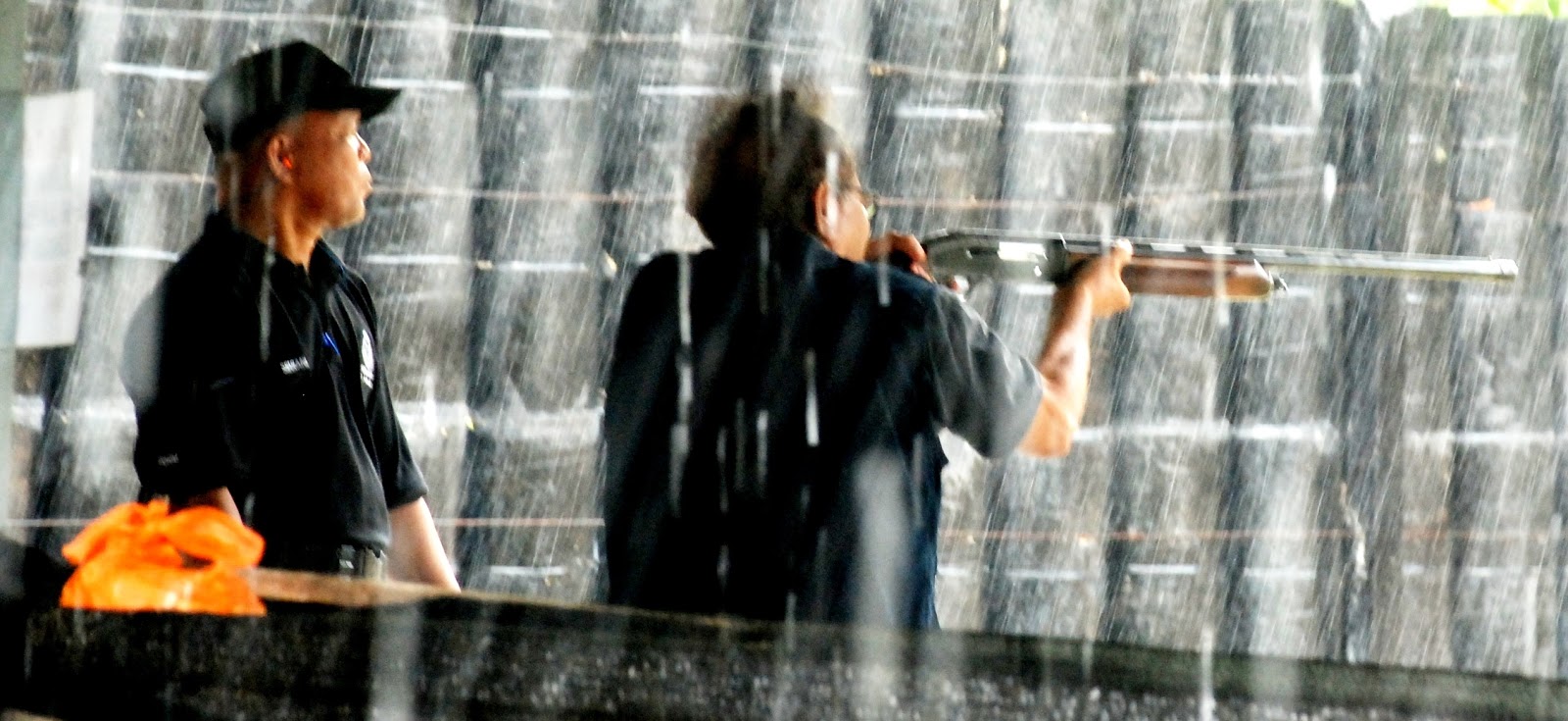 FLORA MALAYSIA: MEMBAHARUI LESEN SENJATA API