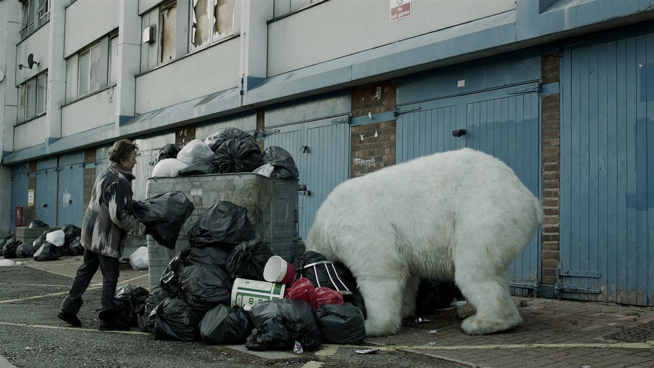 Coronel Von Rohaut: "Homeless " Polar Bears