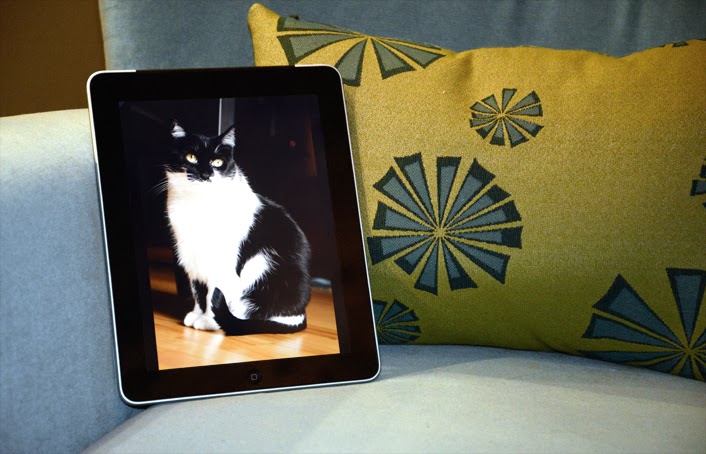 GLOGIRLY: What's YOUR Favorite iPad Game For Cats?