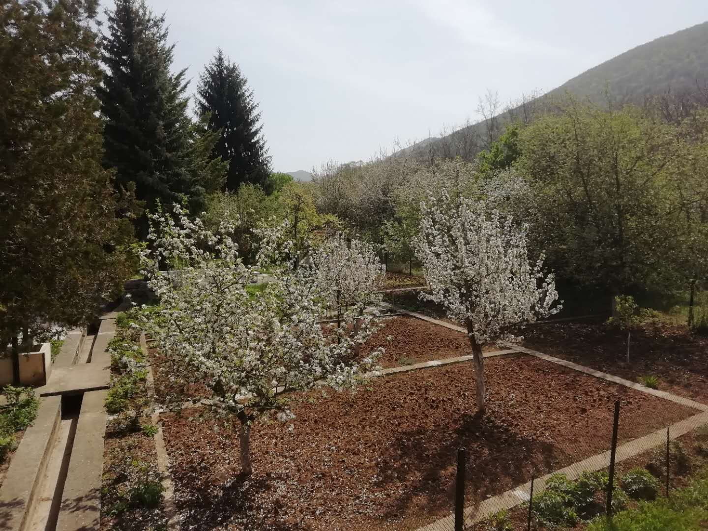 A Weekend in Kalotina, Part 2