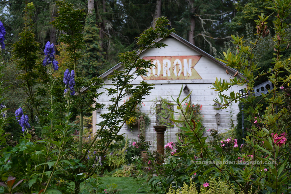 MySecretGarden: Visit to The Old Goat Farm