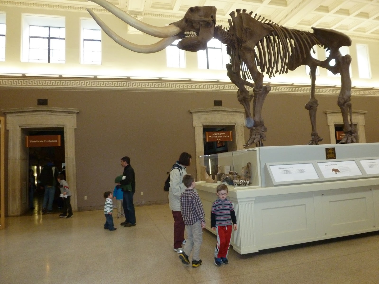 Oh Boy!: Buffalo Museum of Science
