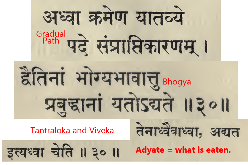 Books: The 36 Tattvas Deck + Guide (36 Cards)