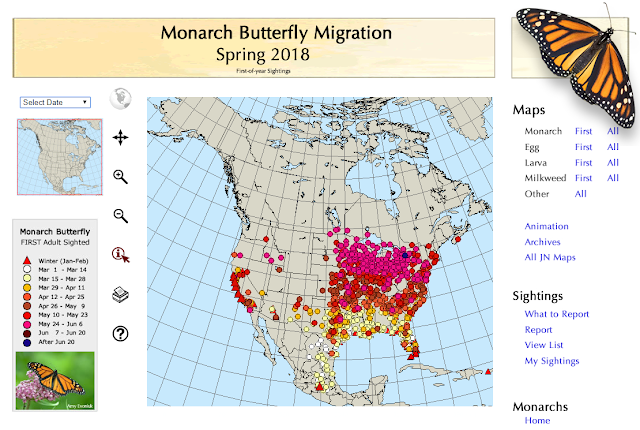 Prairie Pest Monitoring Network Blog: Monarch migration (May 31, 2018 ...