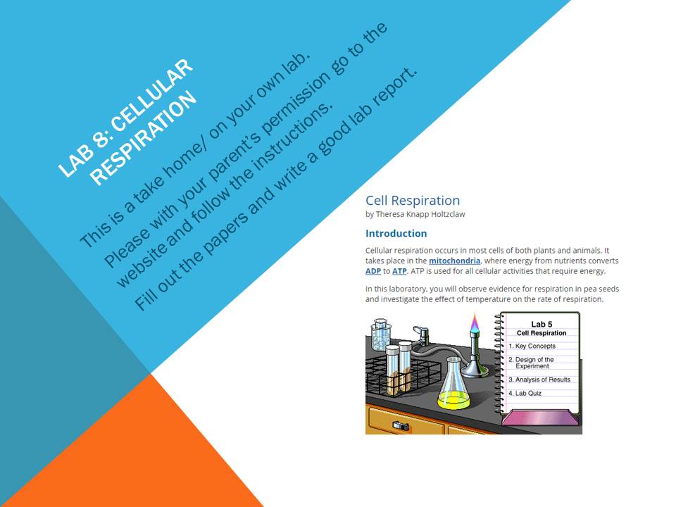Ms. Amanda's Labs: Day 3 introduction - powerpoint slides with explanation of day's activities