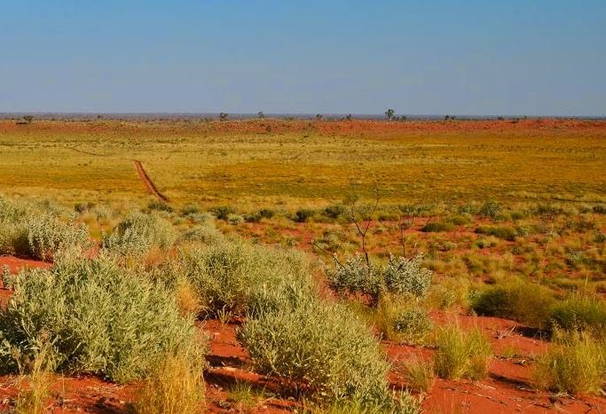 Universe Beauty: Great Sandy Desert, Australia