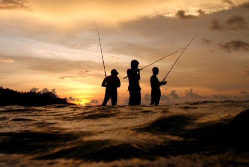 CREANDO NEXOS: noviembre 2011