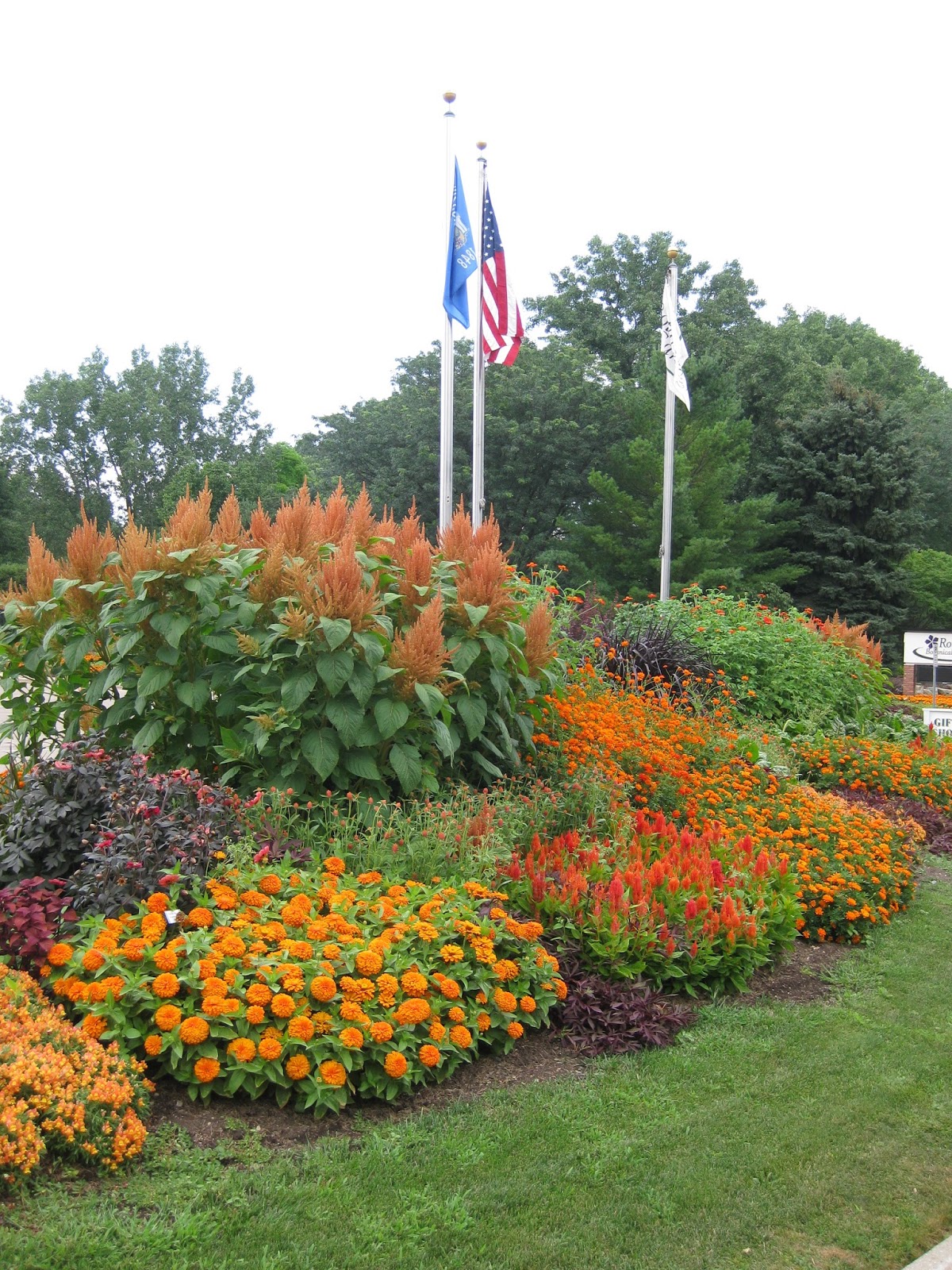 Rotary Botanical Gardens - Hort Blog: Orange Theme Succeeds
