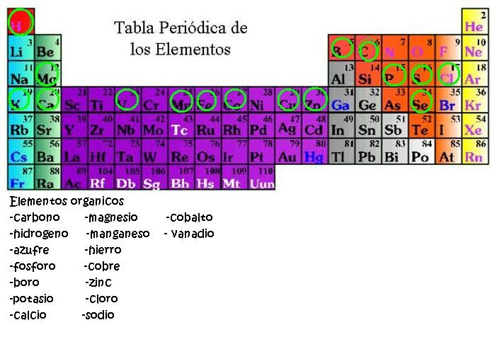 alain aguilar: tabla de los elementos y elementos organicos