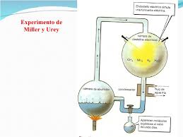 literaturaconciencia: MI PRIMO, MI GASTROENTERÓLOGO (MARK LEYNER) Y LA ...