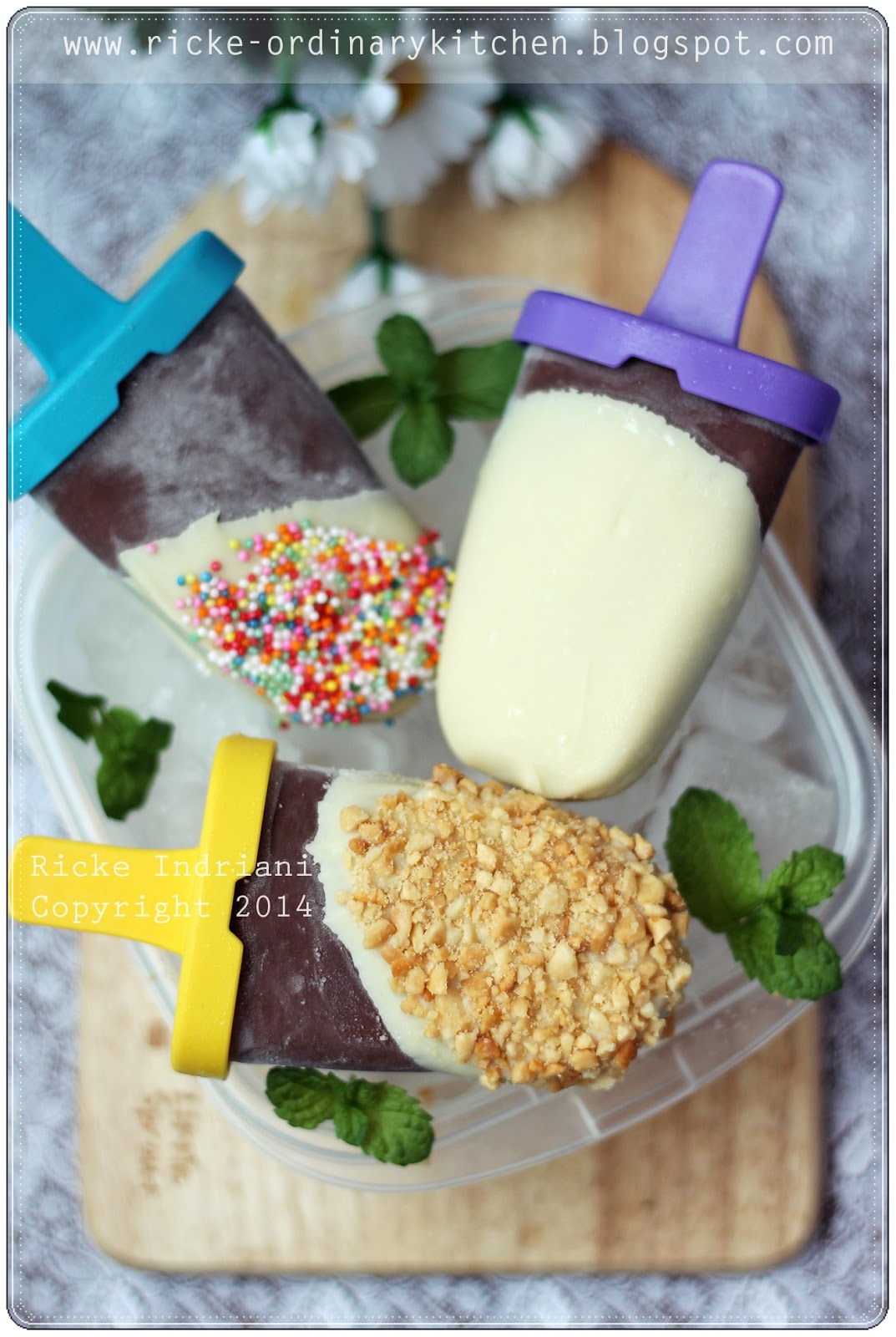 Just My Ordinary Kitchen...: HOMEMADE CHOCOLATE POPSICLES (CHOCOLATE ...