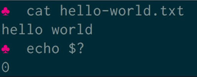 Web Snippets: Cheat sheet for echo
