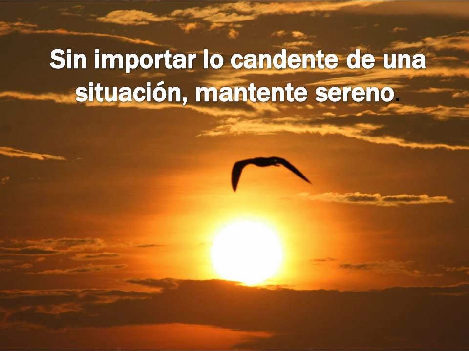 FRASES Y PAISAJES : ES PRIMORDIAL