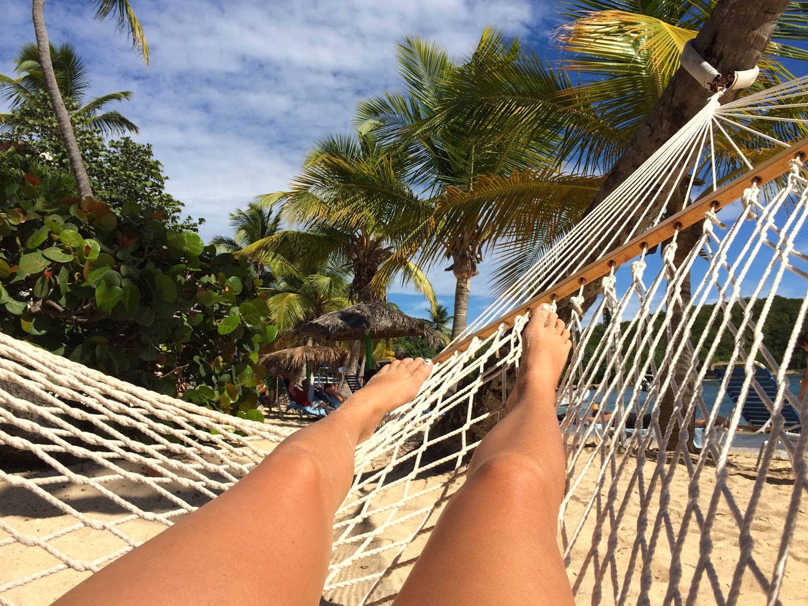 Tree Limin' Extreme: St. Thomas Beach Bucket List