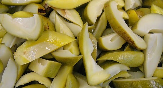 Petak Semai: MANGGA TELUR