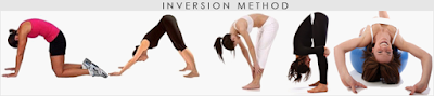 Inversion Method