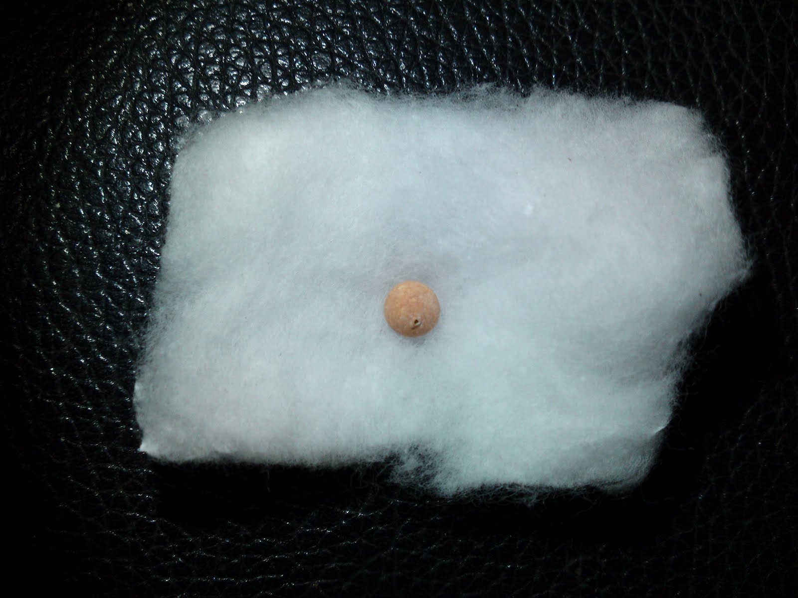 BLOG KOLEKSI MEGA MISTIK DAN ANTIK ANTARABANGSA: Geliga Labah-Labah ...