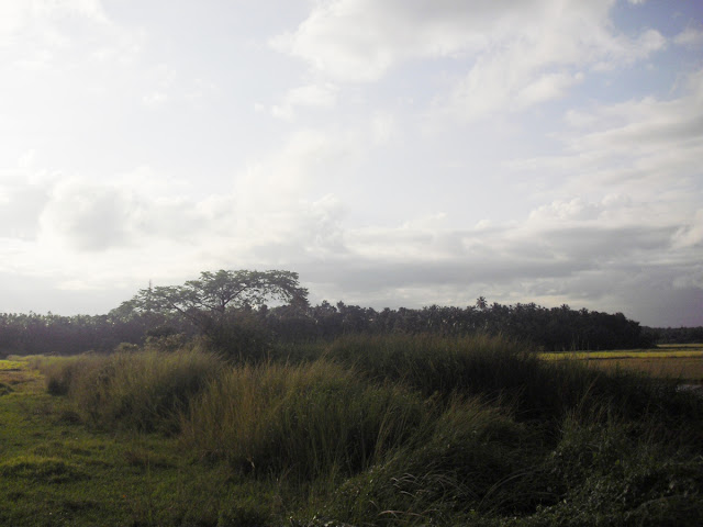 എയ്യാല്‍: Ona Kaalam