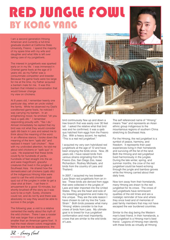 Origin of the Domestic Fowl: Color Pattern of the Red Jungle Fowl