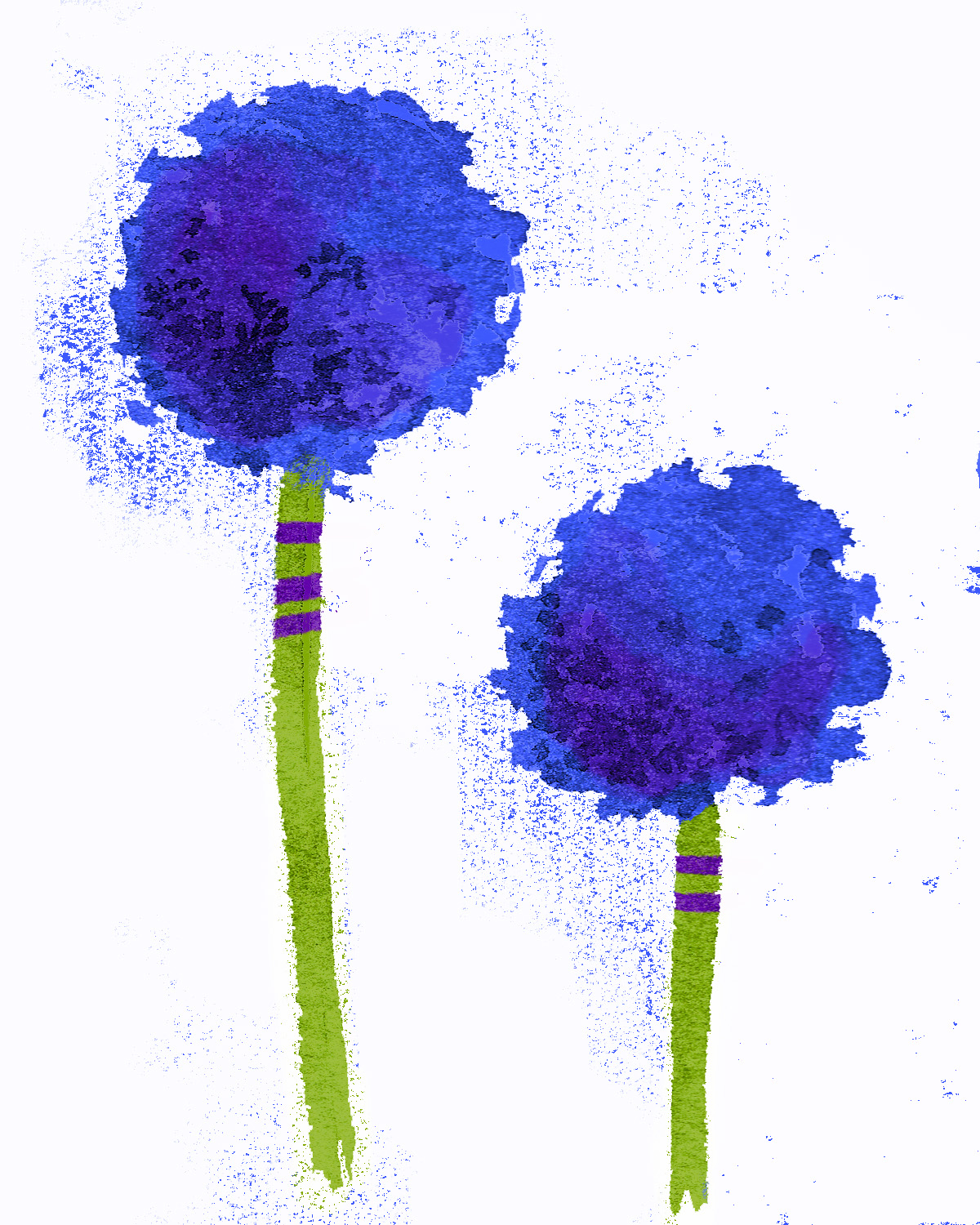 Kate Radomski Illustration: Flowers