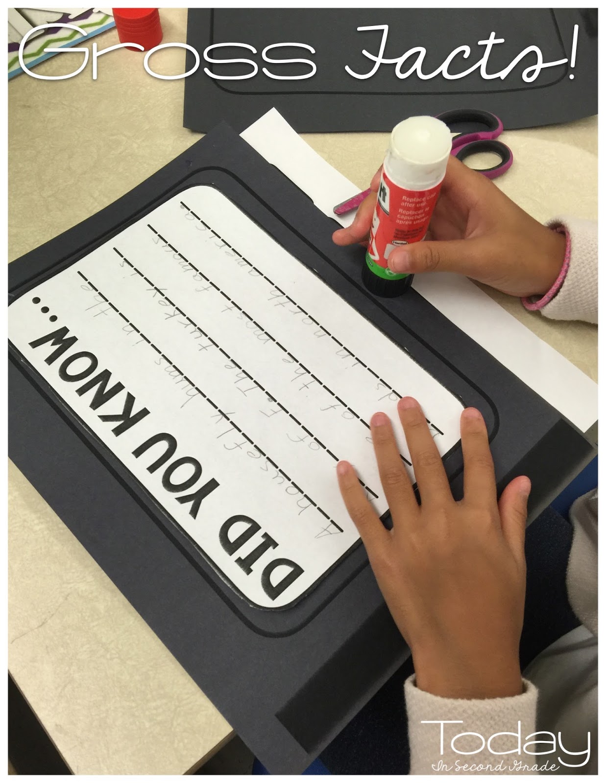 Gross Facts Today In Second Grade gross-facts-today-in-second-grade